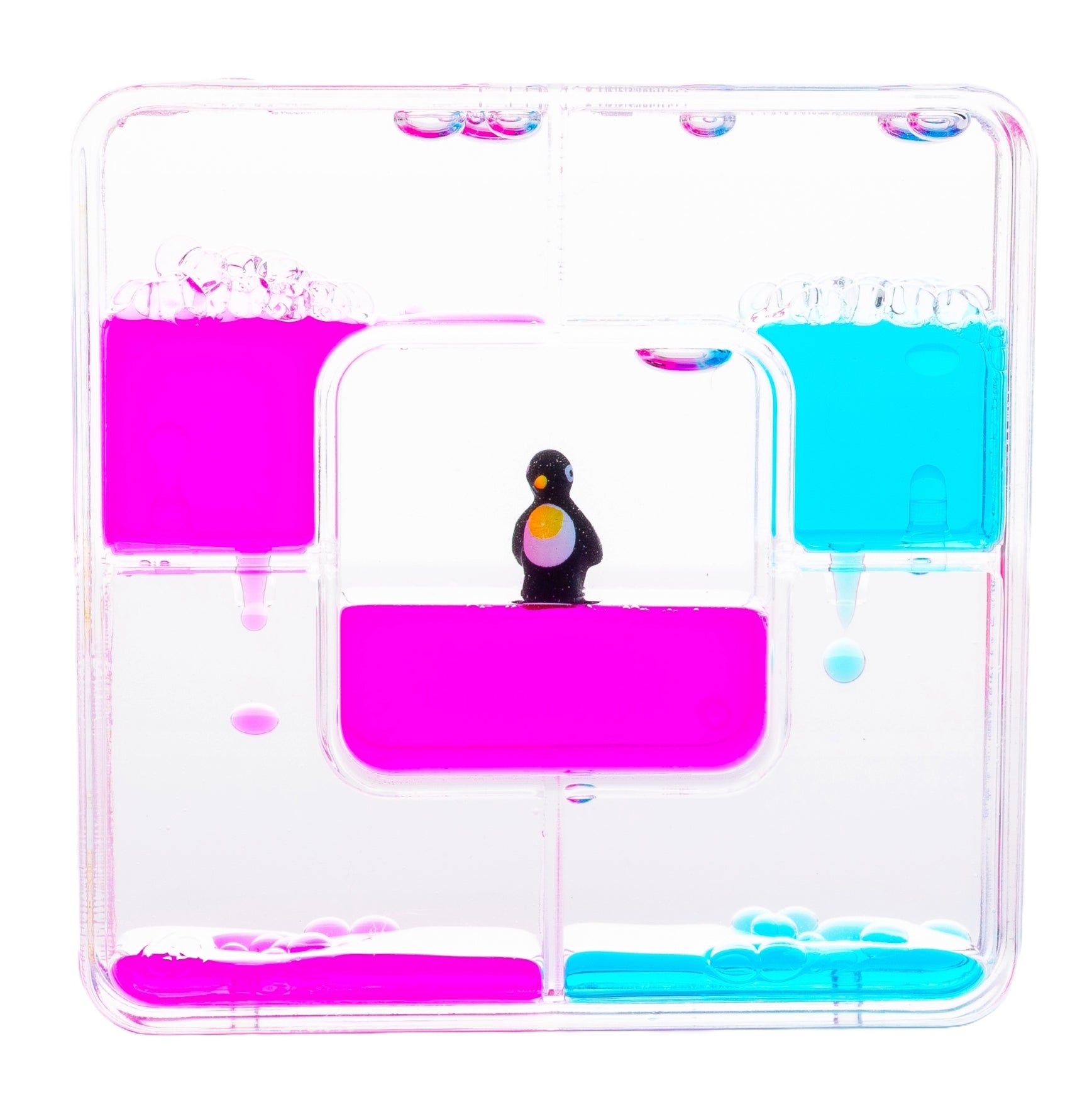 Double-Colour Square Penguin Timer – Virtuenity